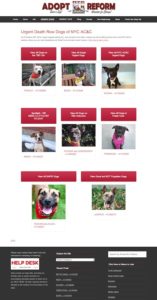 Urgent Pets on Death Row Inc helps save New York City Website Makeover ...